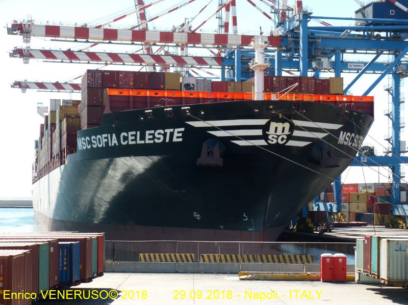 MSC Sofia Celeste